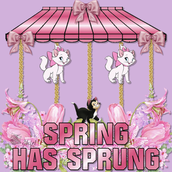 Spring Cats (in Seasonal)