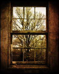 Looking out the old creepy window (in Clipart)