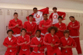 HSM (in Animated GIFs)