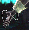 transformation (in Animated GIFs)
